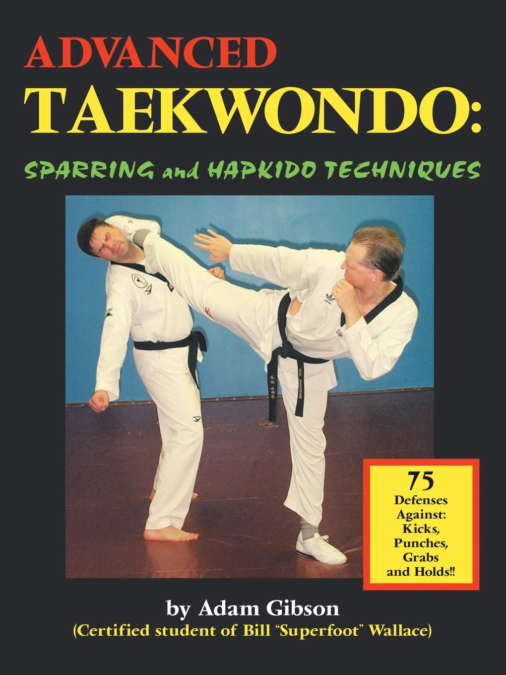 Snapklik.com : Advanced Taekwondo: Sparring And Hapkido Techniques