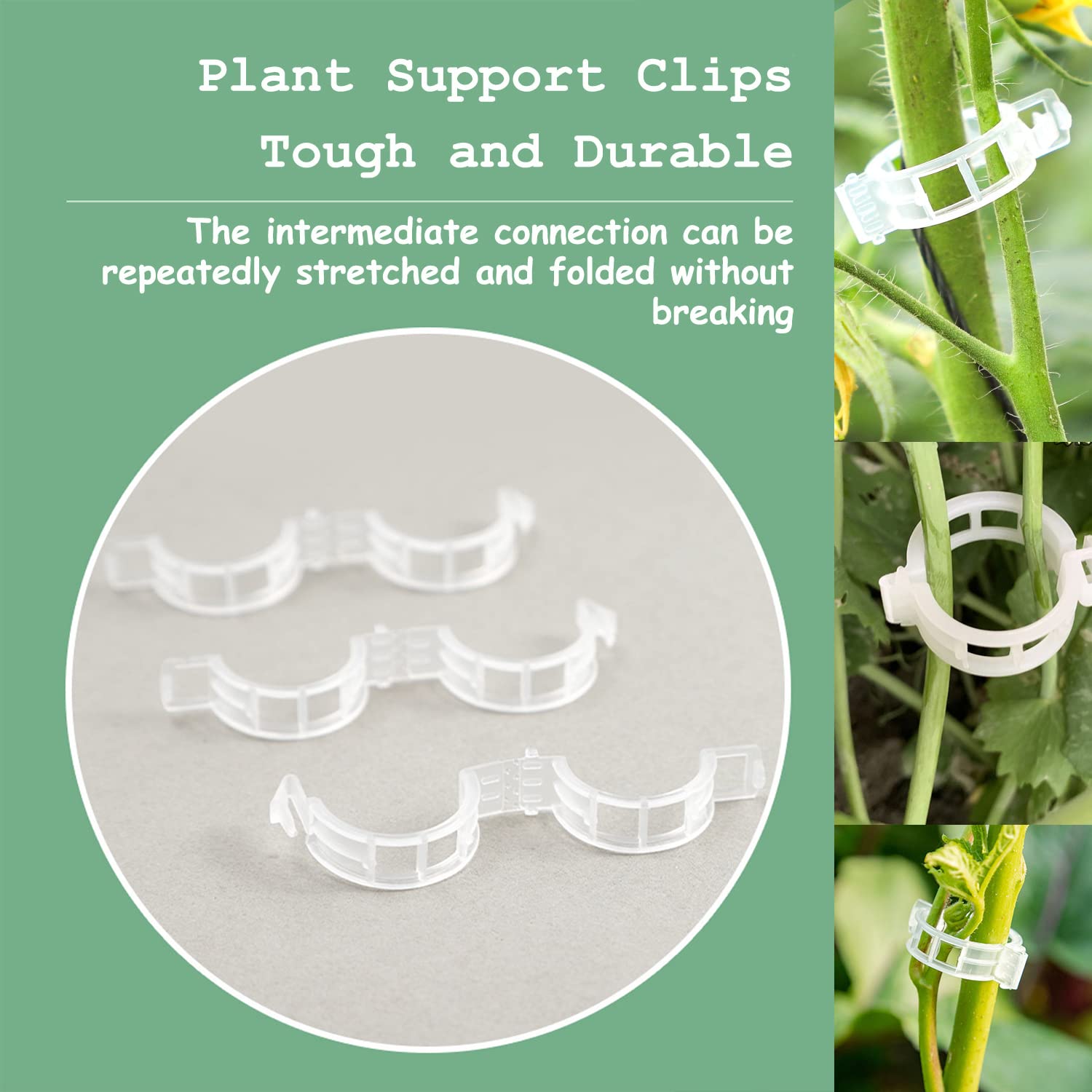 Snapklik.com : 300 PCS Plant Support Clips,Garden Trellis Clips,Tomato ...