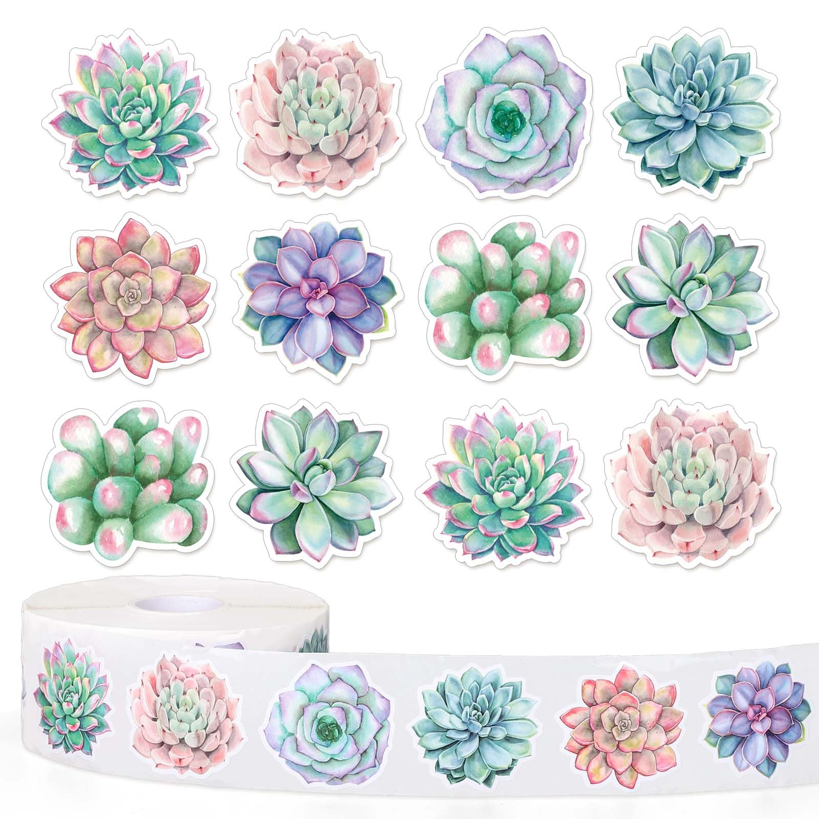 Amazon.com: JarThenaAMCS 1000Pcs Succulent Cutout Stickers Roll ...