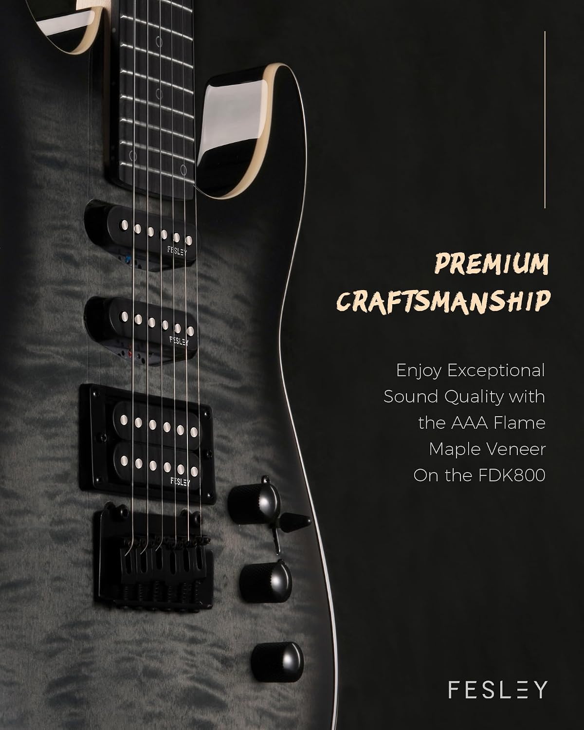 Fesley Guitarra eléctrica, kit de guitarra eléctrica de cuerpo sólido ...