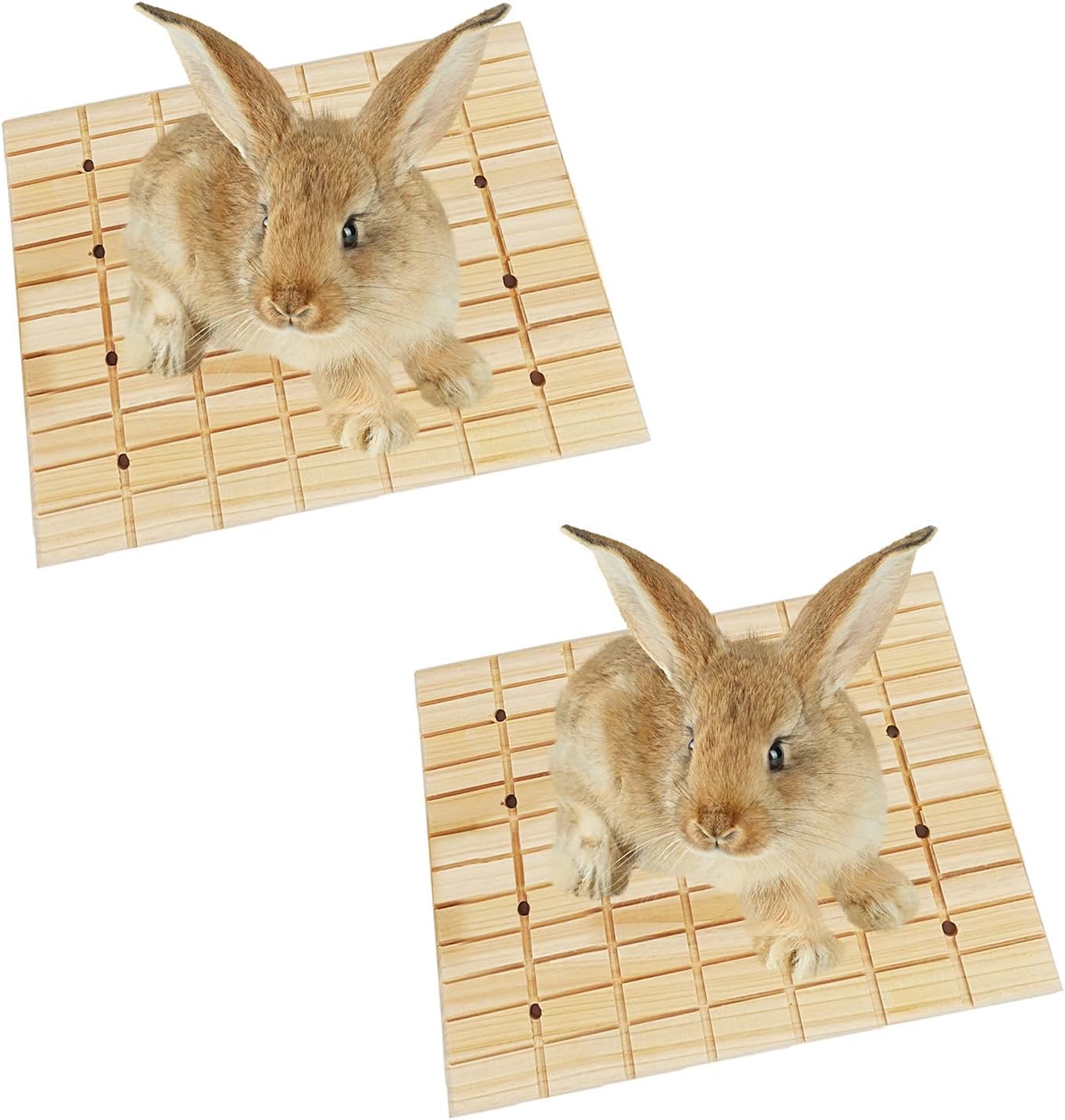 Amazon.com : Rabbit Scratching Pad Bunny Feet Pad Lava Grinding Chew ...