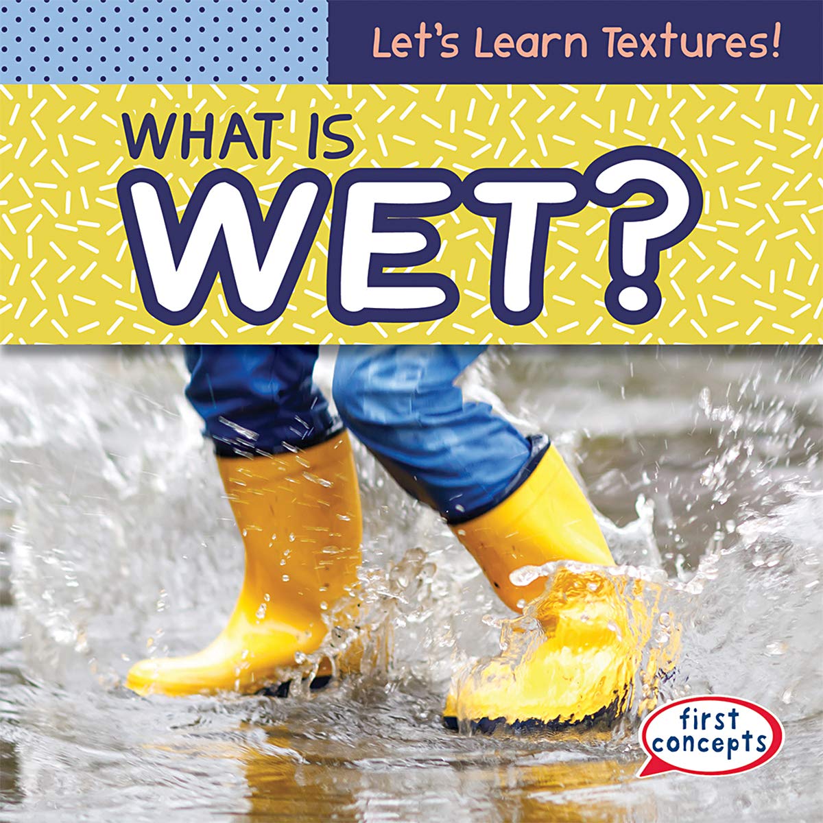 Amazon.com: What Is Wet? (Let's Learn Textures!): 9781538244517: Martin ...