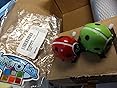 Amazon.com: Toy Cubby Wind-Up Colorful Flipping Bugs - 6 pieces : Toys ...