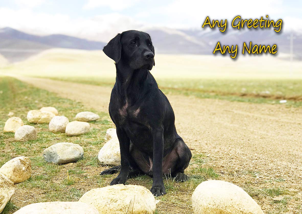 Personalised Black Labrador Dog Greeting Card (Birthday, Christmas, Any ...