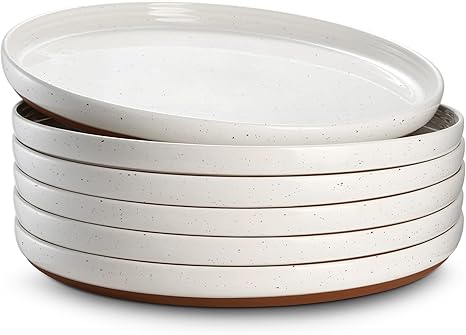 Amazon.com | DOWAN 10.5" Large Dinner Plates Set of 6, High Edge ...