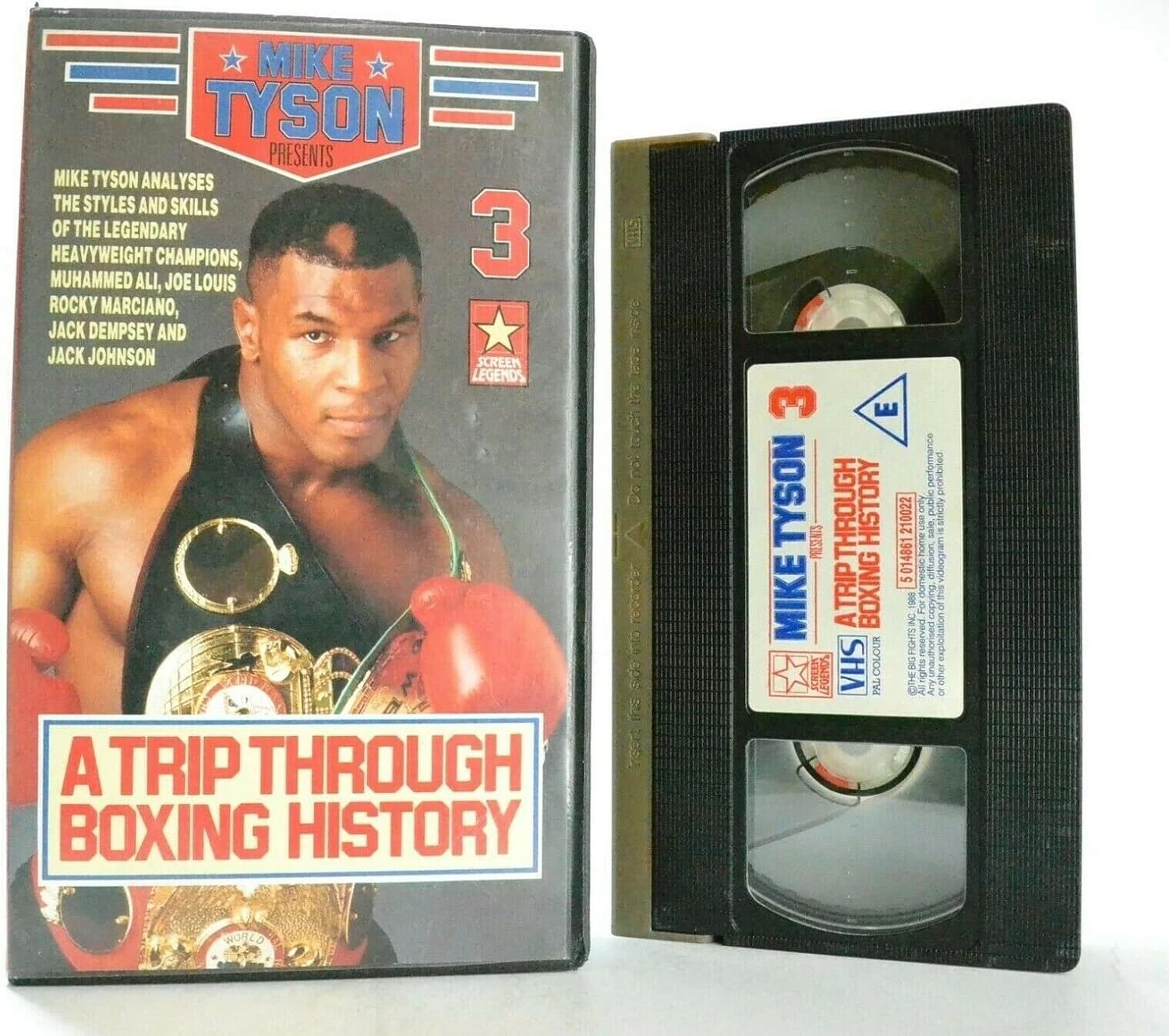 Amazon.com: Lord of the Dance [VHS] : Michael Flatley, Bernadette Flynn ...