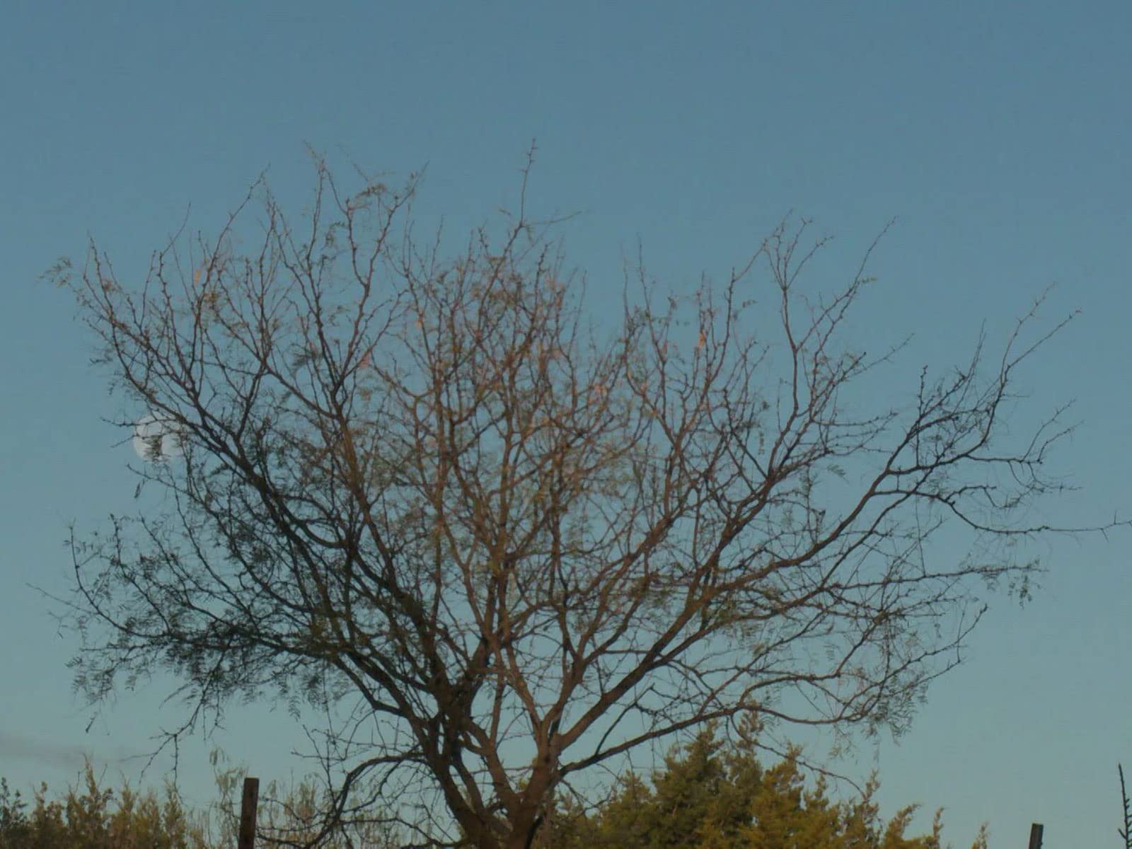 Watch American Archer - Season 26 | Prime Video