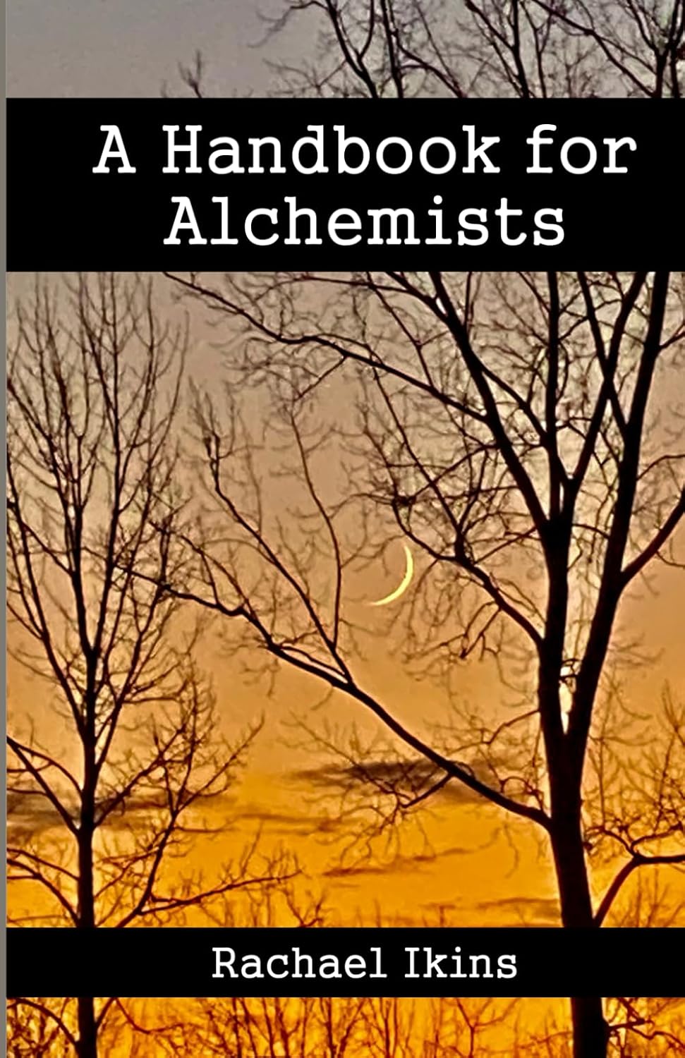 A Handbook for Alchemists: Ikins, Rachael: 9788119654048: Amazon.com: Books