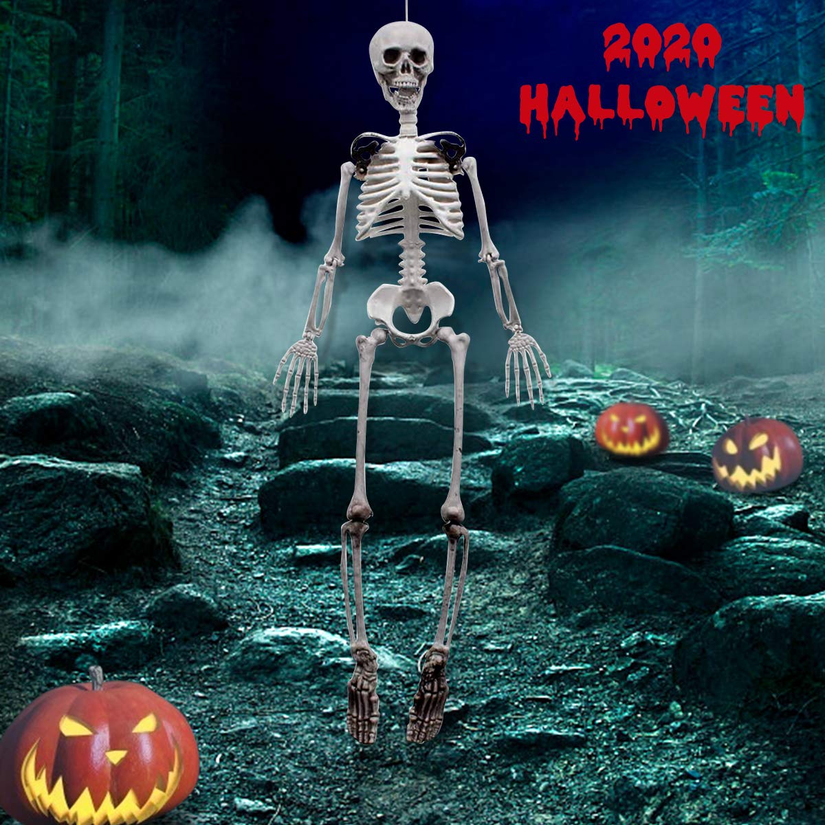 Buy Evoio Halloween Skeleton - 38”Tall Full Body Halloween Skeleton ...