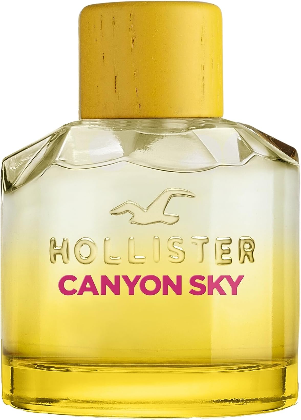 Amazon.com : Hollister Canyon Sky for Her Eau de Parfum 100ml : Beauty ...