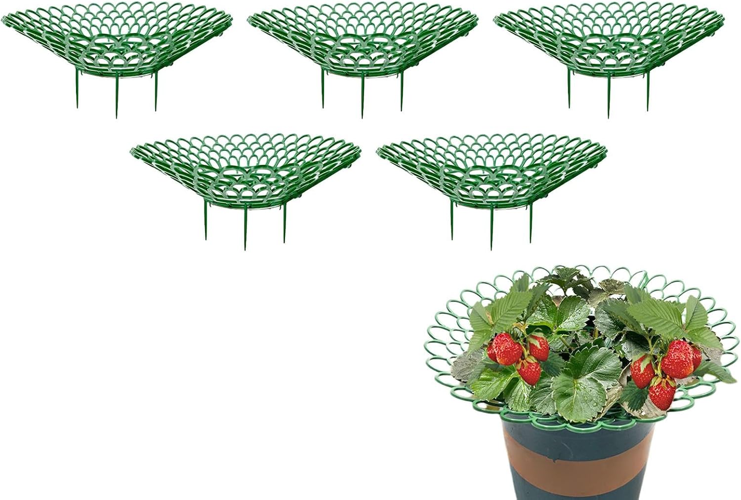 Strawberry Support Stand, Pack of 5, Strawberry Rack, Strawberries ...