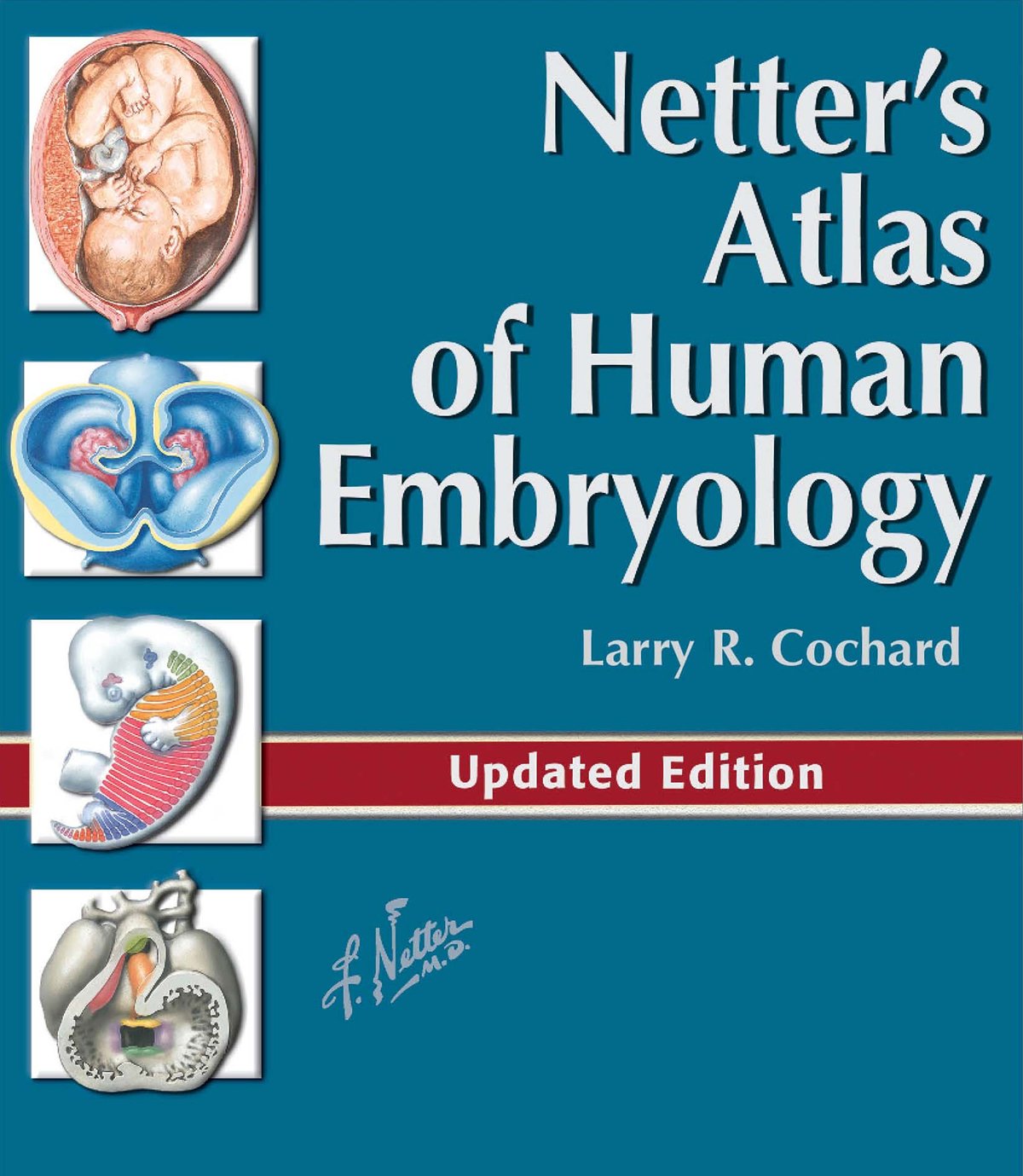 Netter's Atlas of Human Embryology E-Book (Netter Basic Science ...