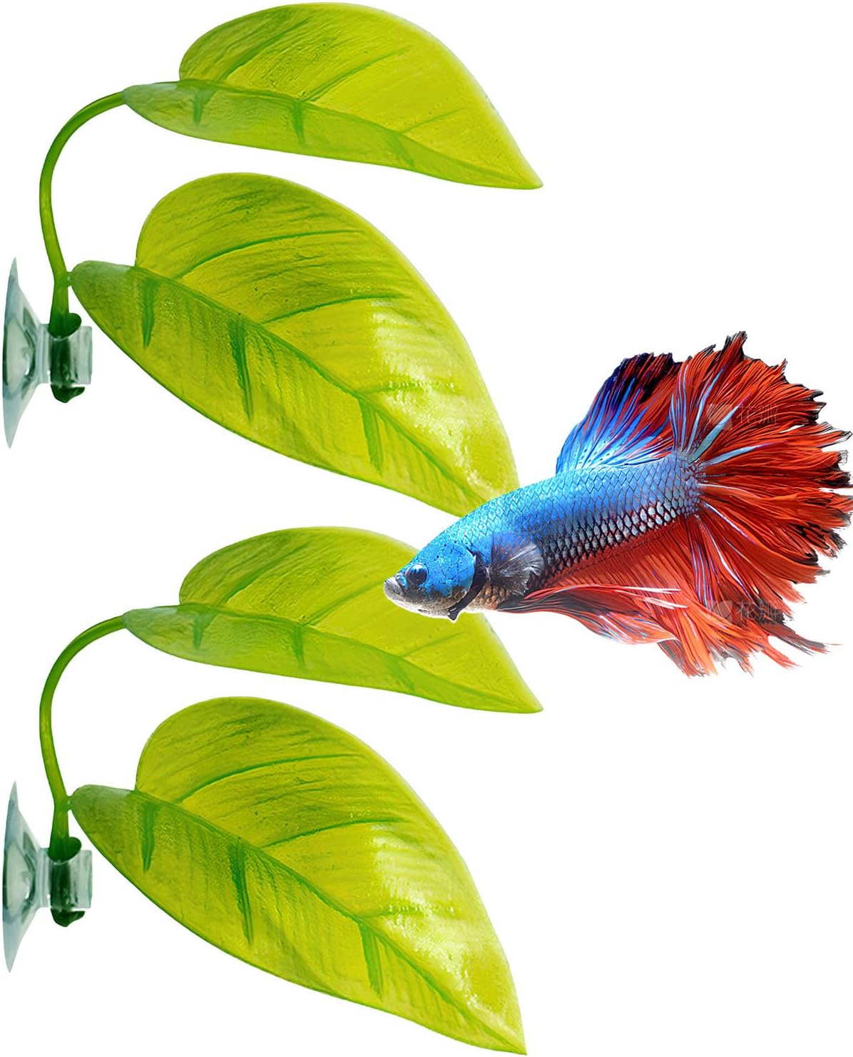 Amazon.com: Qiifaiikooii 2 Pack Betta Fish Tank Decorations Aquarium ...