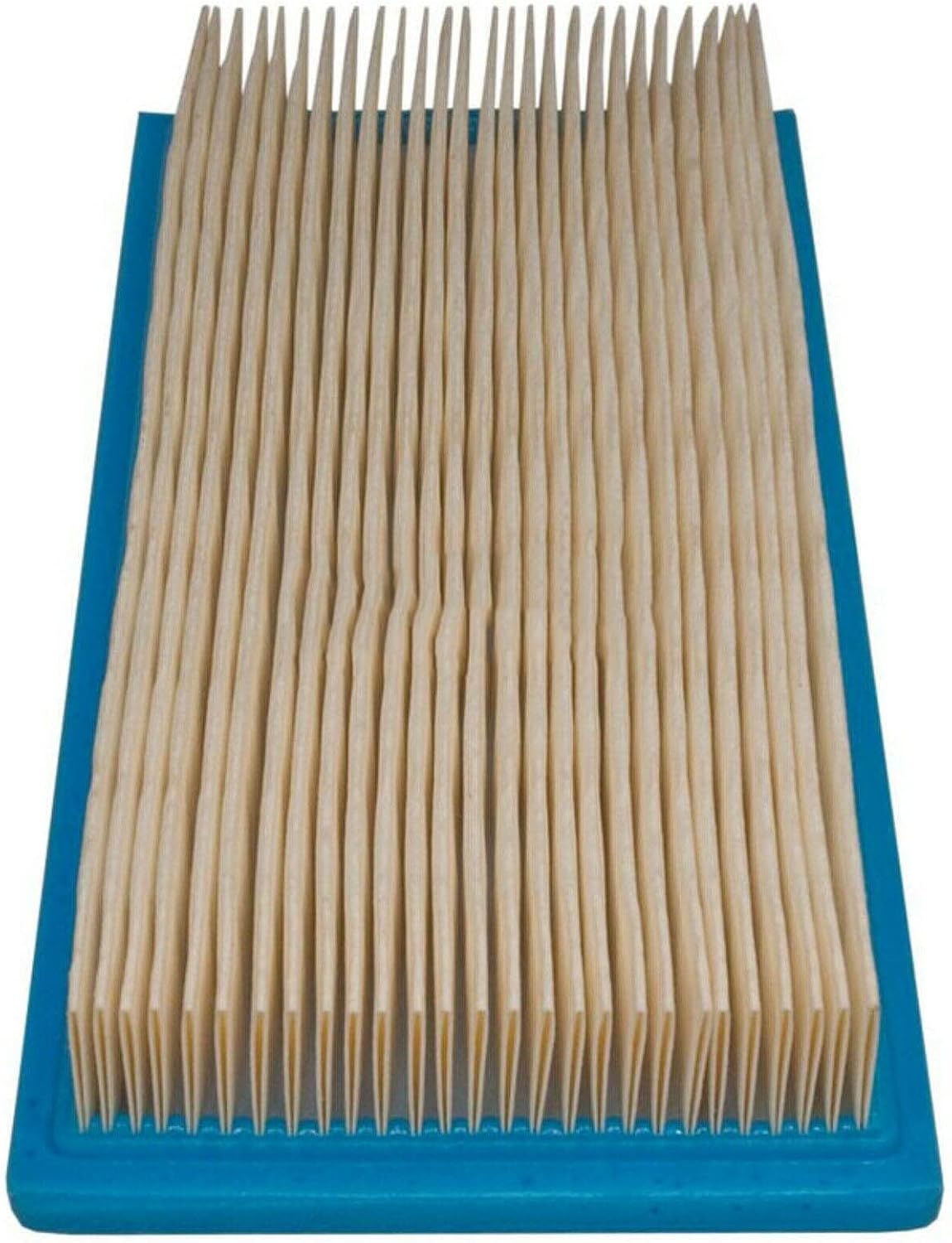 Amazon.com : HASME 710266 Air Filter Cartridge Fits for Briggs ...