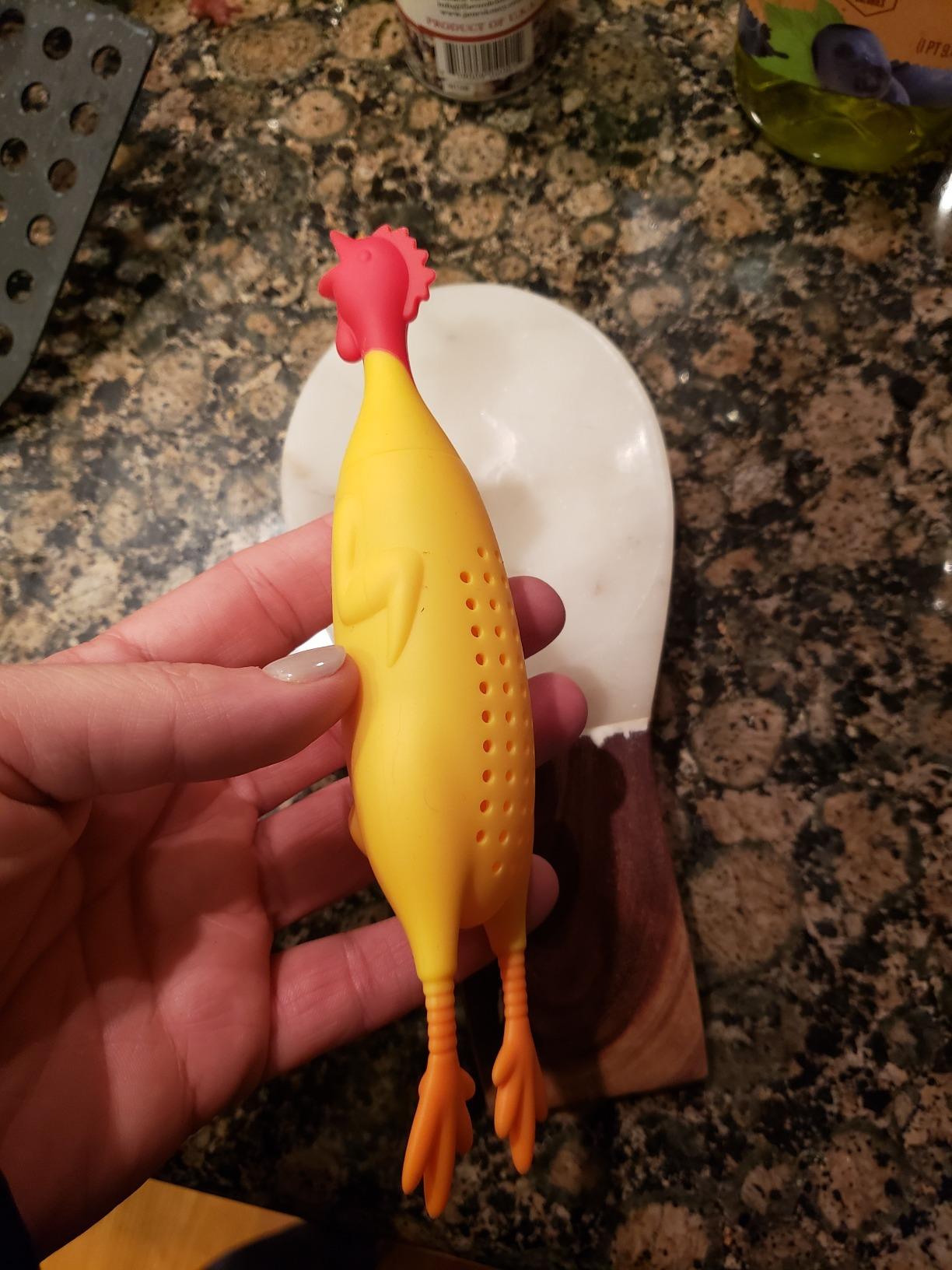 Amazon.com: Genuine Fred Le CROCK COQ Chicken Herb Infuser: Home & Kitchen