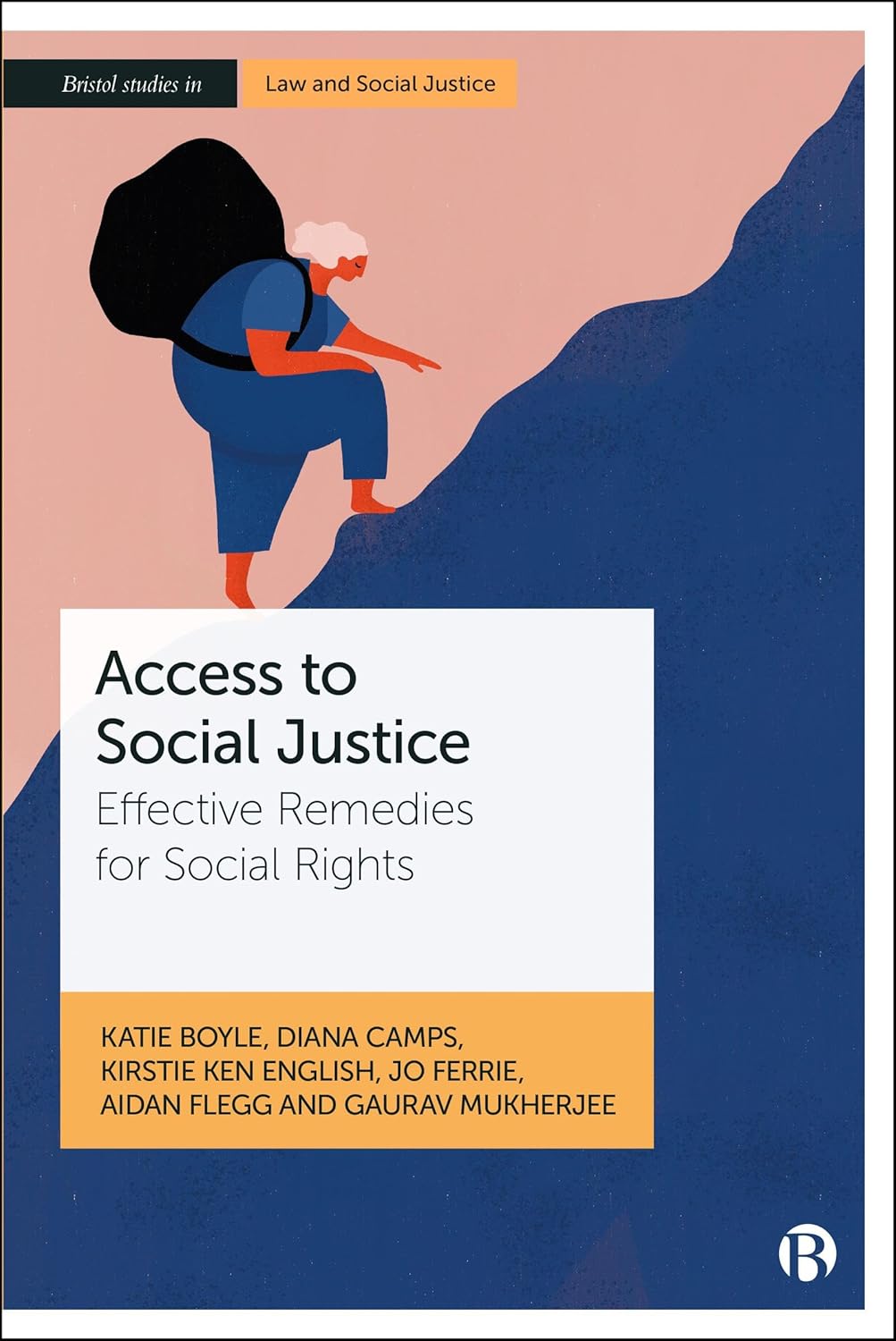 Amazon | Access to Social Justice: Effective Remedies for Social Rights ...
