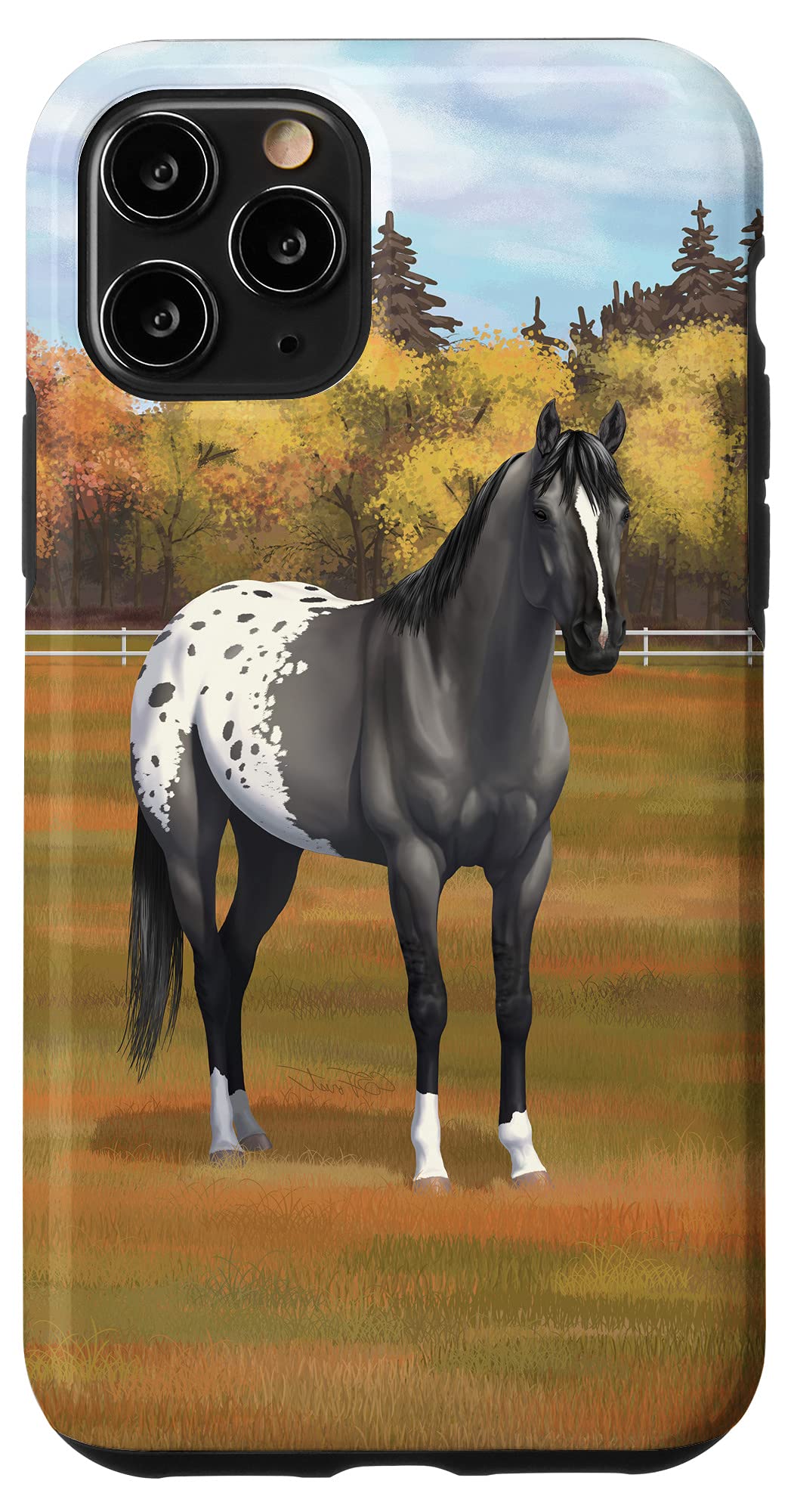 Gray Appaloosa Horses