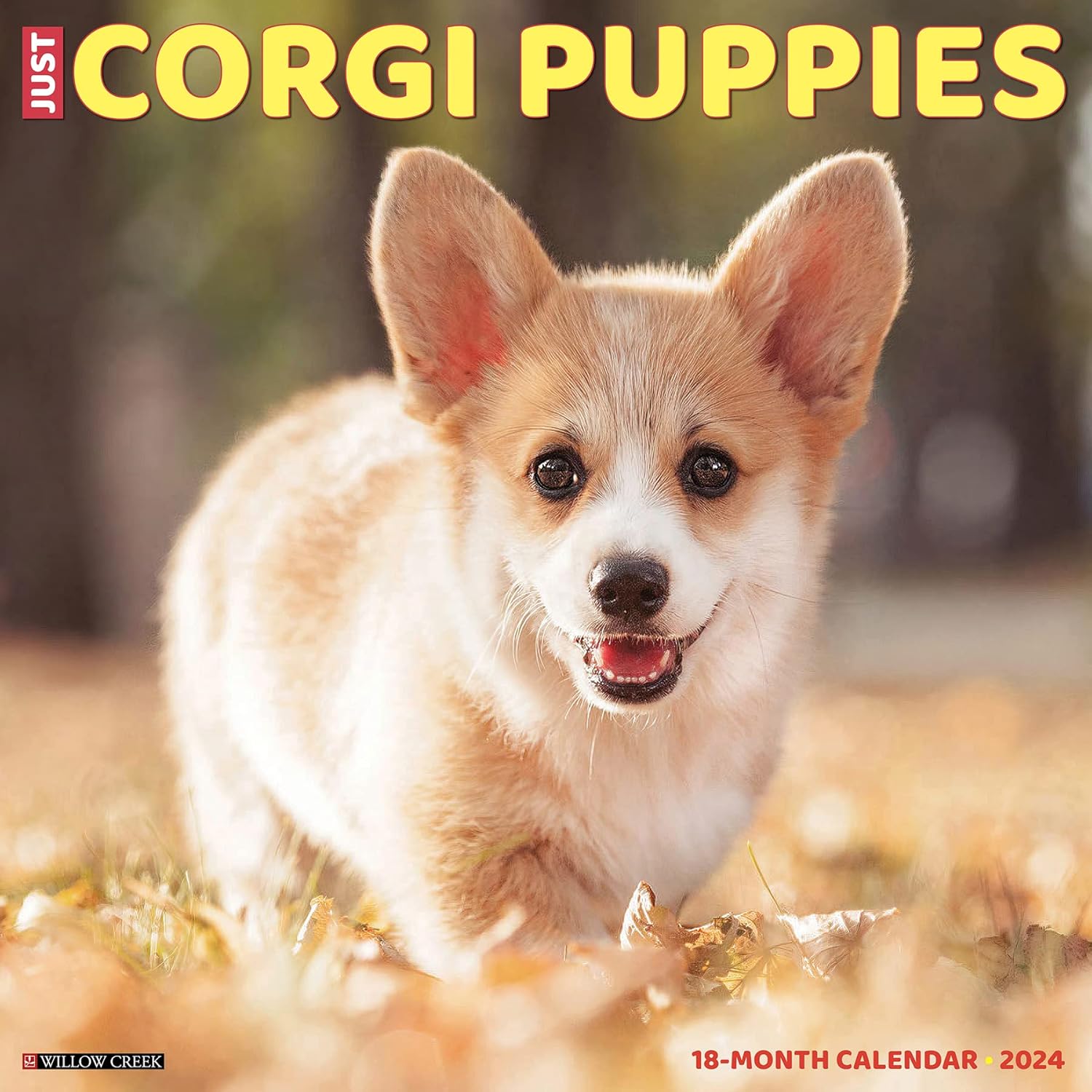 Amazon.com: Willow Creek Press Corgi Puppies Monthly 2024 Wall Calendar ...