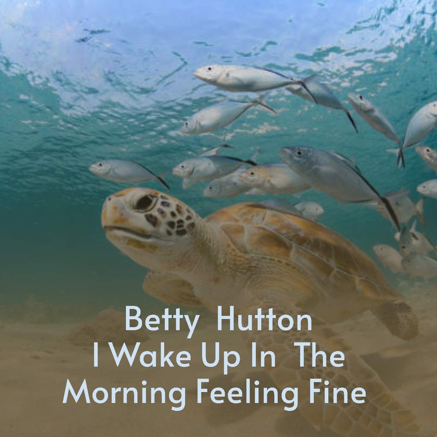 Be My Baby song by The Ronettes from Love Songs on Amazon Music