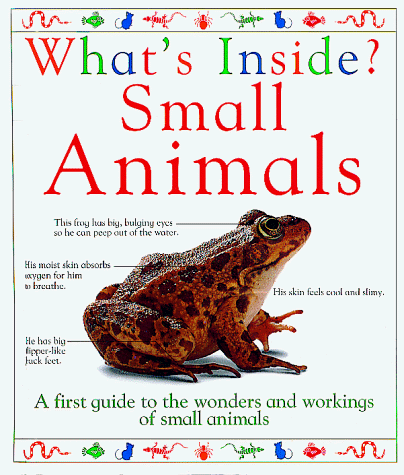 What's Inside ? Small Animals: DK Publishing: 9781879431096: Amazon.com ...