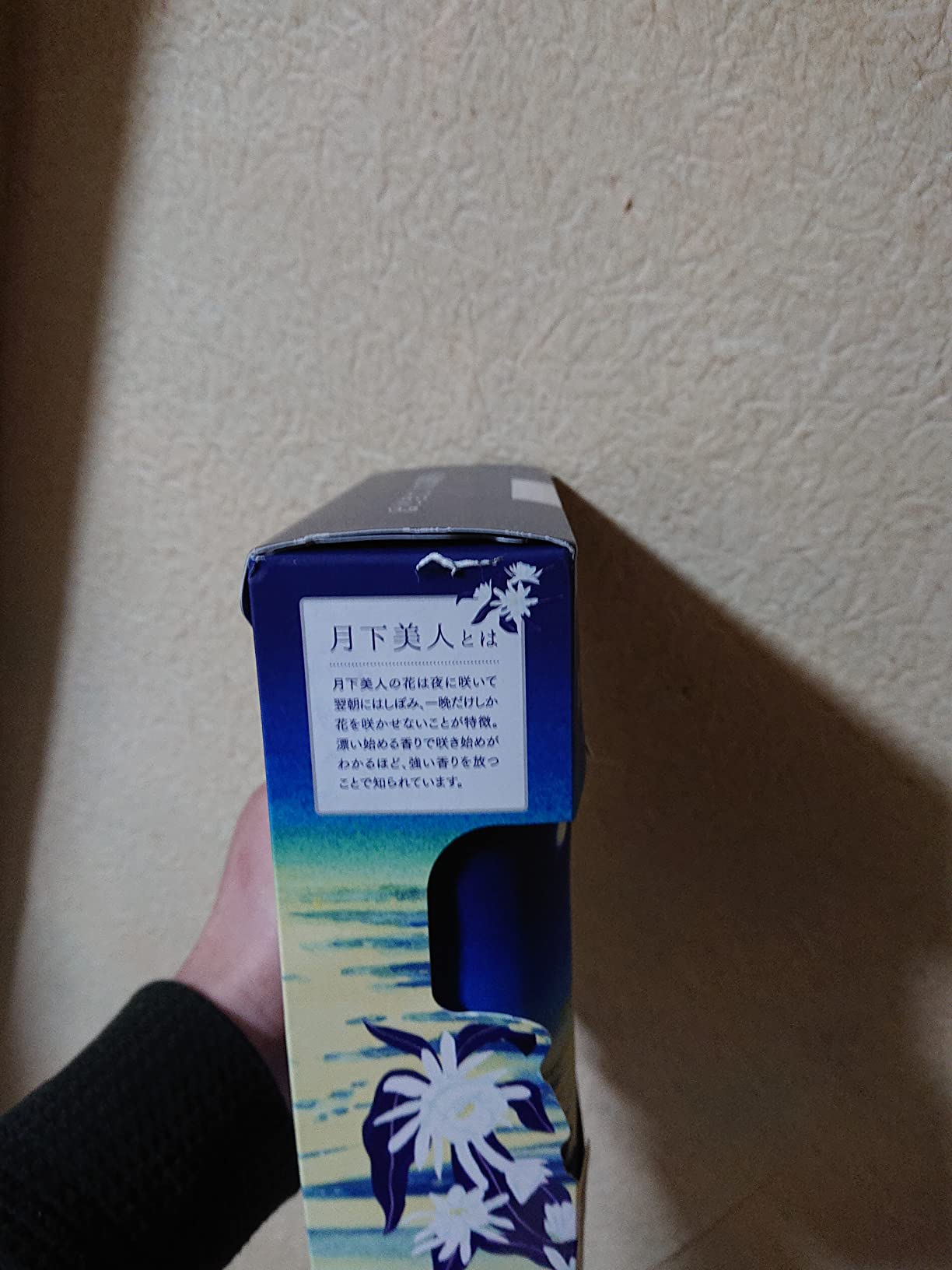 Amazon | クラシエホームプロダクツ クラシエ いち髪 ペアセット 月下美人の香り 480ml+480g | Kracie | シャンプー 通販