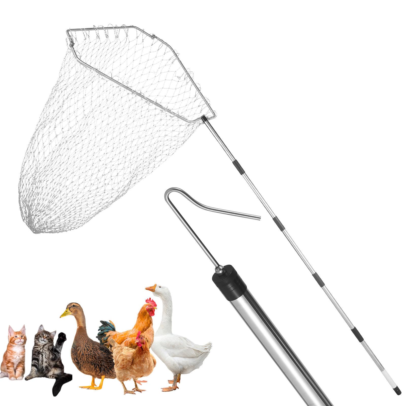 Amazon.com : Chicken Net Catcher,74" Adjustable Extension Pole Chicken ...