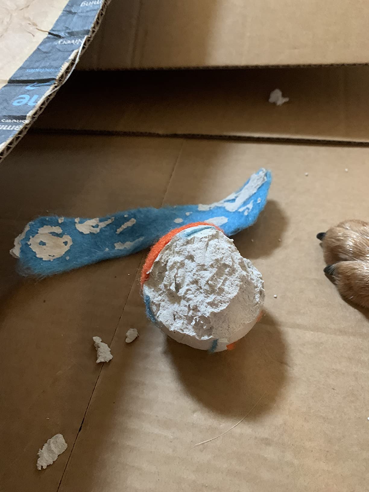 Scream 92-SDT04192 Ball Launcher 38Cm, Loud Blue, 38cm : Amazon.com.au ...