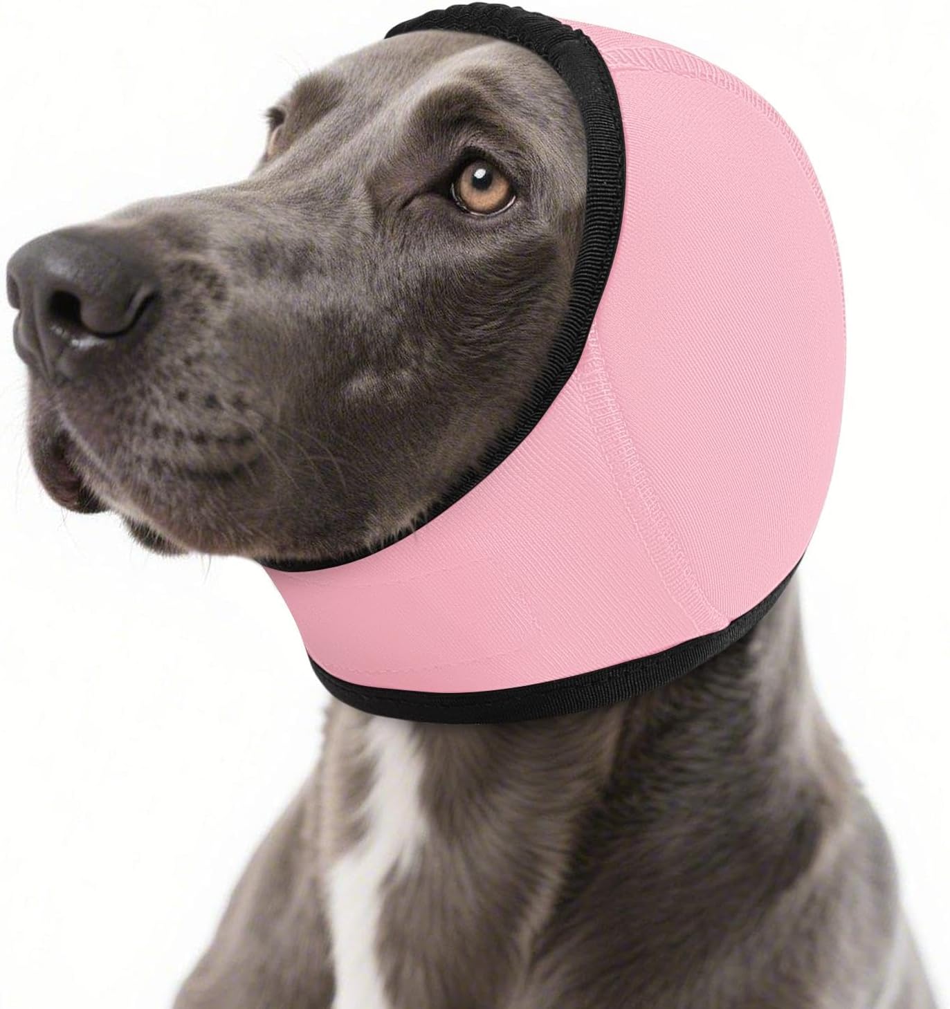 Amazon.com : SUNFURA Dog Calming Hoodie - Anxiety Relief Quiet Ears for ...