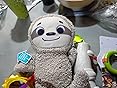 Fisher-Price Baby Toy Slow Much Fun Stroller Sloth, Travel Activity ...