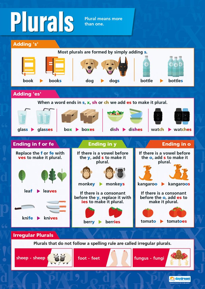 Daydream Education Plurals | English Posters | Gloss Paper measuring ...