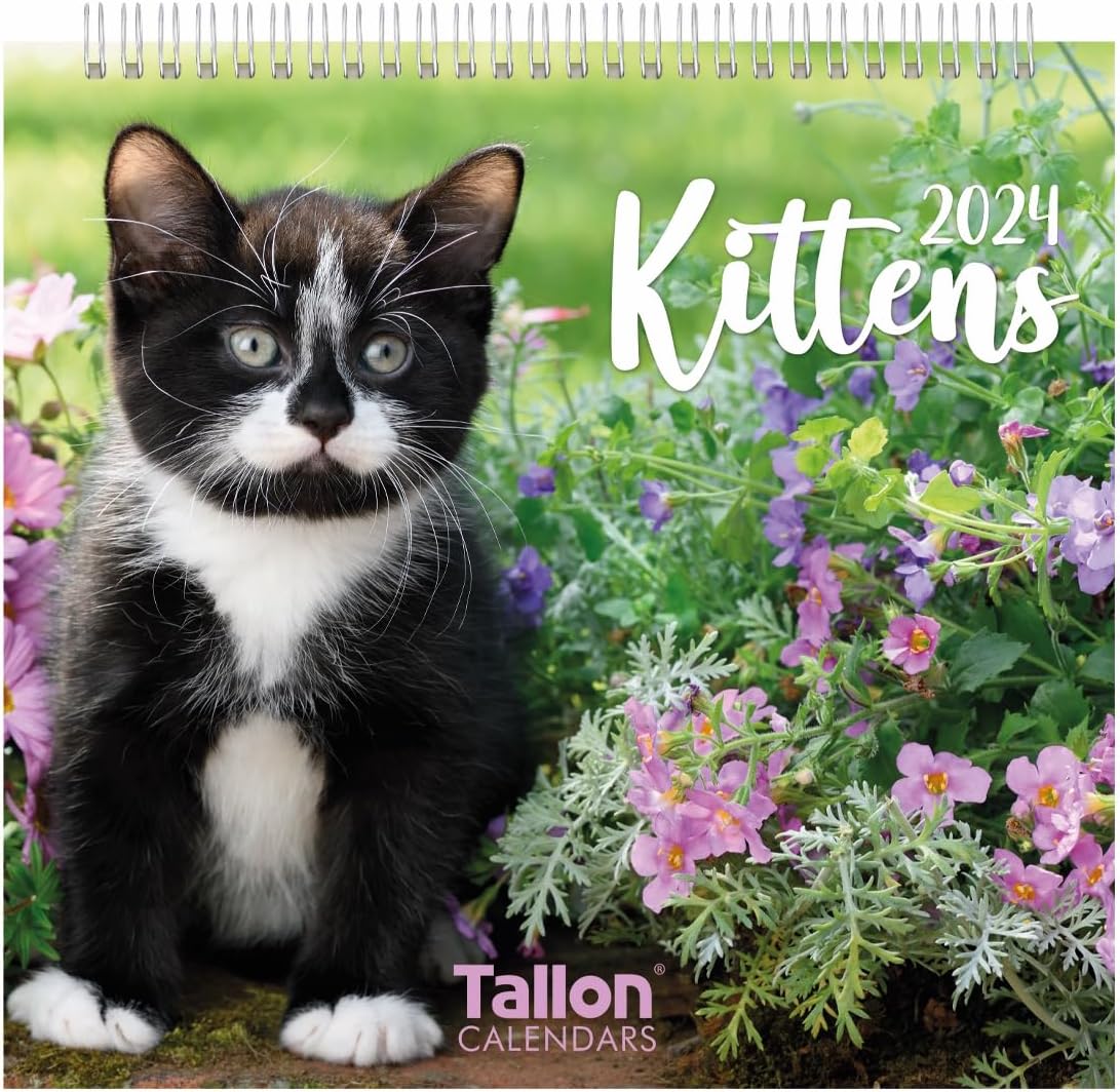 2024 Desktop Calendar Planner Puppies or Kittens Full Year Month To ...
