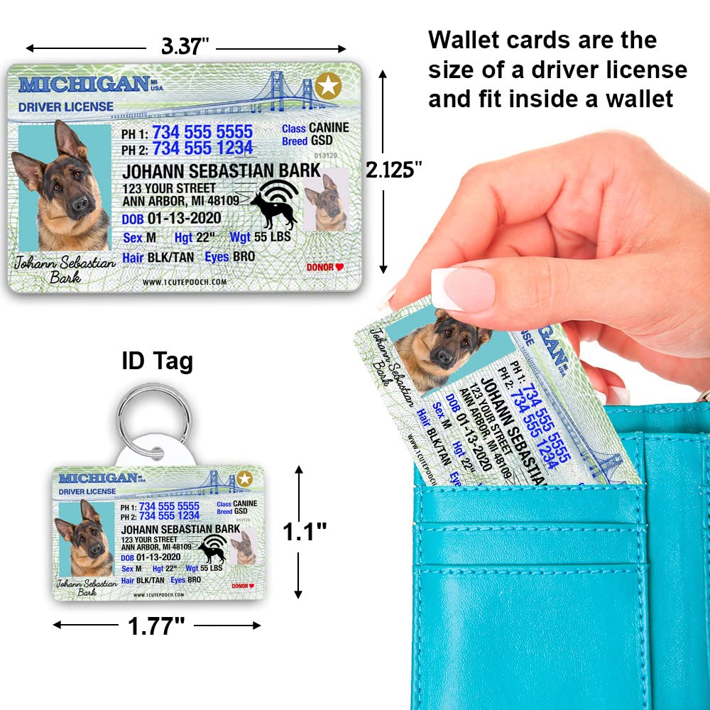 How Much Is A Dog License In Michigan