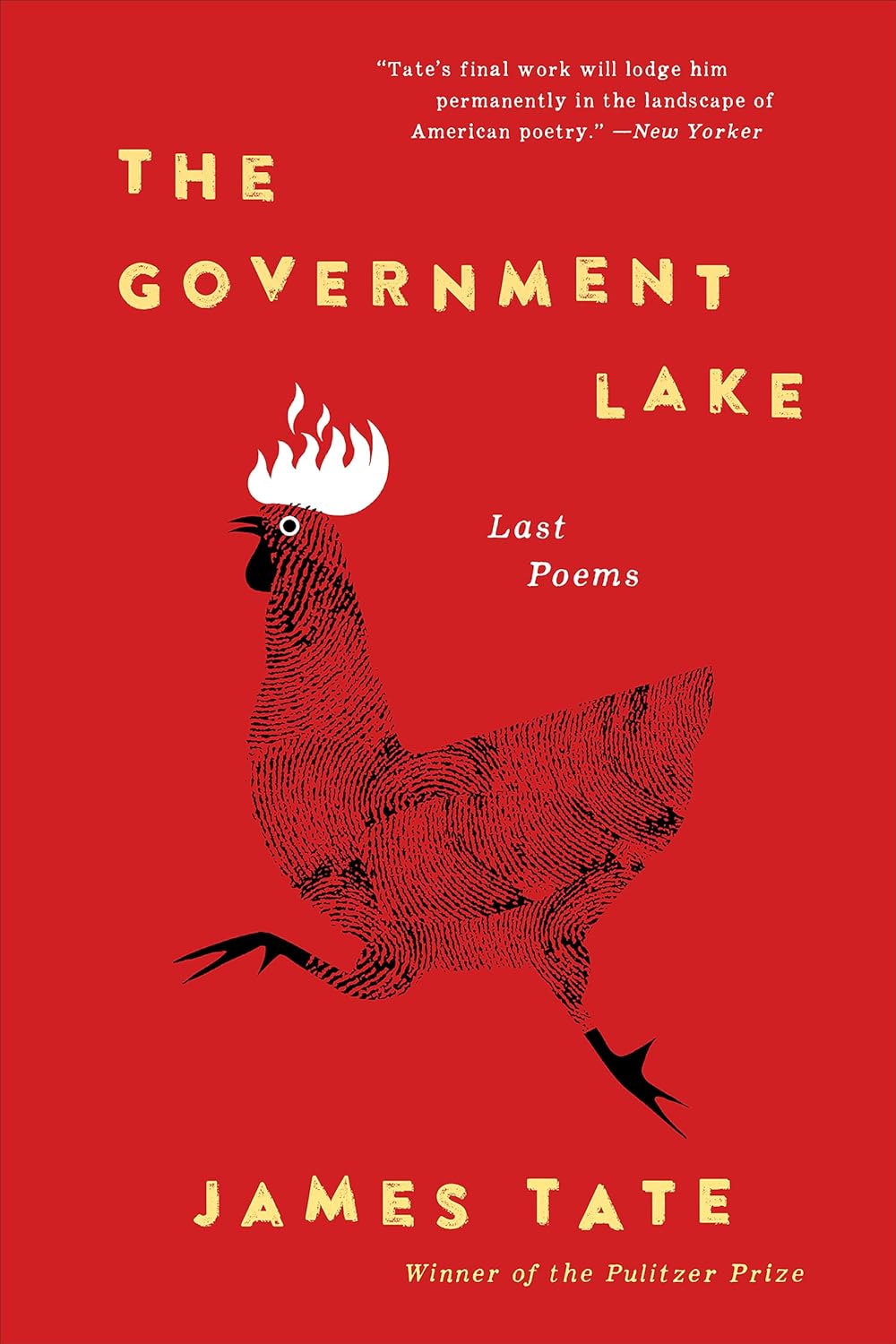 Amazon.com: The Government Lake: Last Poems eBook : Tate, James: Kindle ...