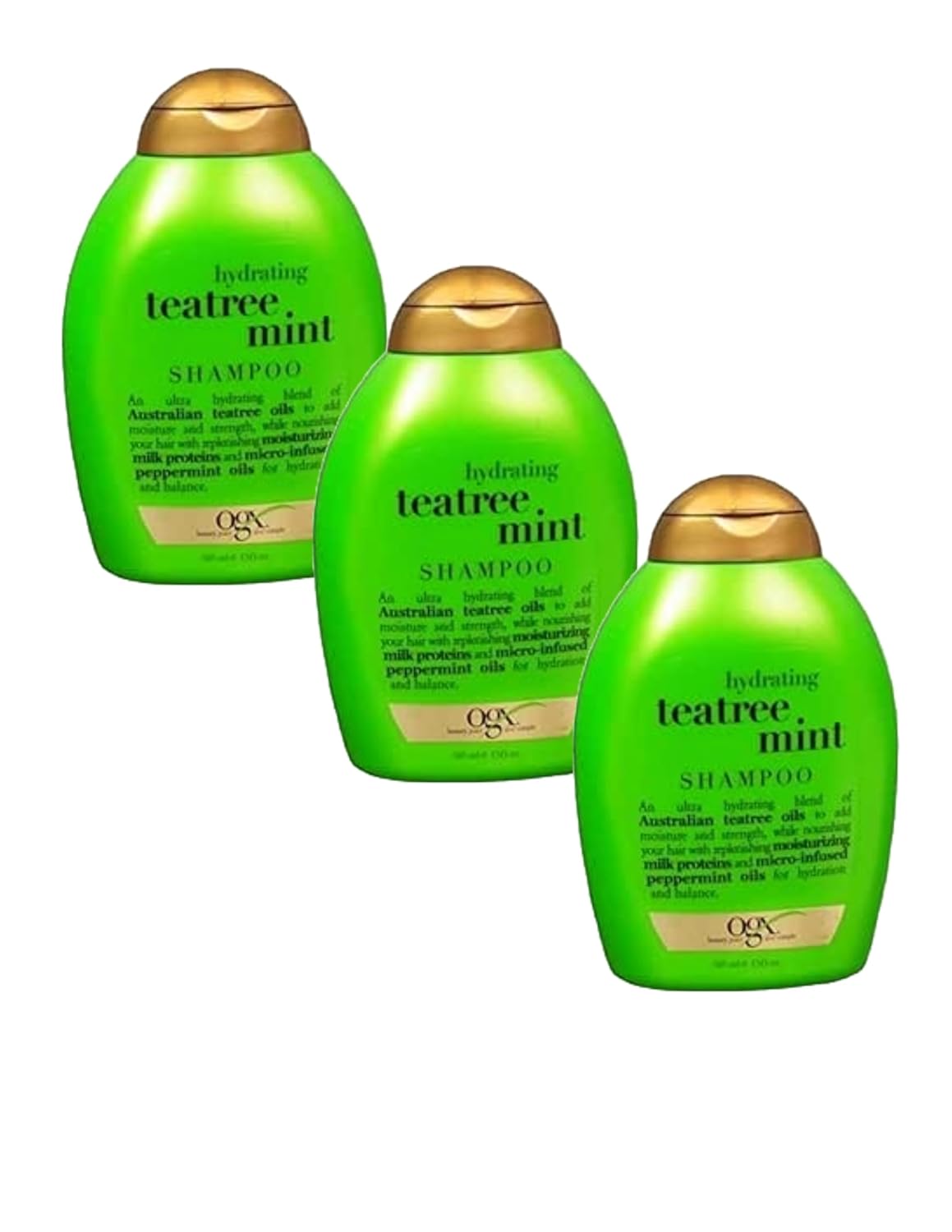 Amazon.com : Ogx Shampoo Tea Tree Mint Hydrating 13 Ounce (384ml) (3 ...