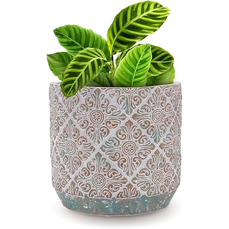 Amazon.com: INSPIRELLA Timeless Plant Pots – 7.1" Stunningly Detailed ...