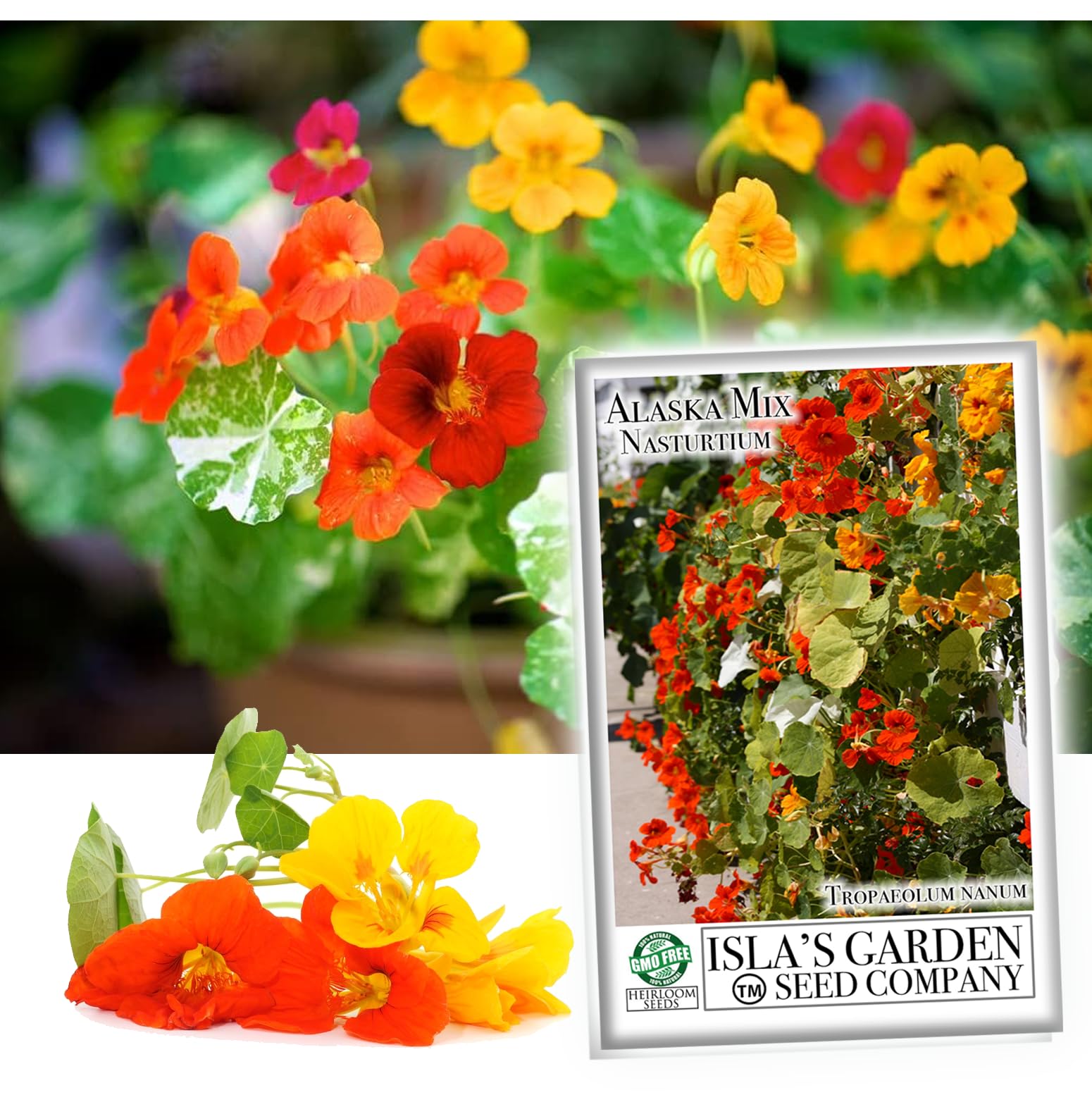 Tipos De Flores Y Plantas En Alaska Florerias En Alaska | Flores A