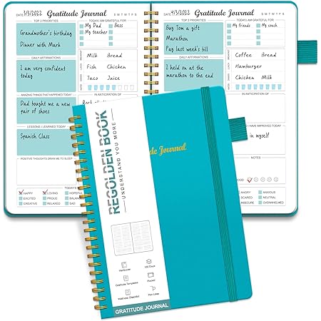 Amazon.com : Gratitude & Mindfulness Journal | Gratitude Template, Self ...