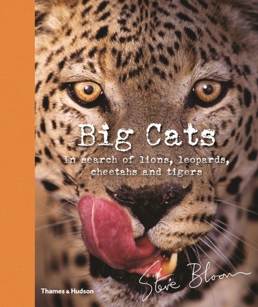 Amazon | Big Cats: In Search of Lions, Leopards, Cheetahs, and Tigers ...