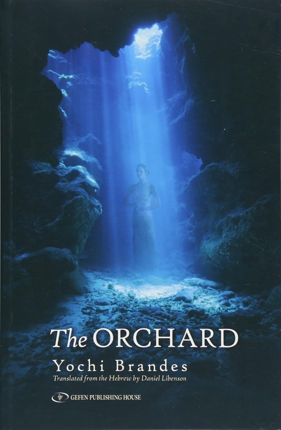 Amazon.com: The Orchard: 9789652299307: Brandes, Yochi, Libenson ...