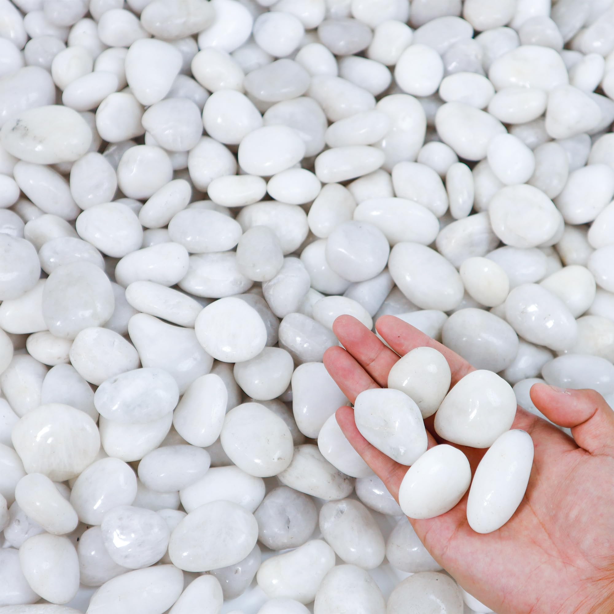 Snapklik.com : 45lbs White River Rocks, 1-2 Inch Natural Pebbles For ...