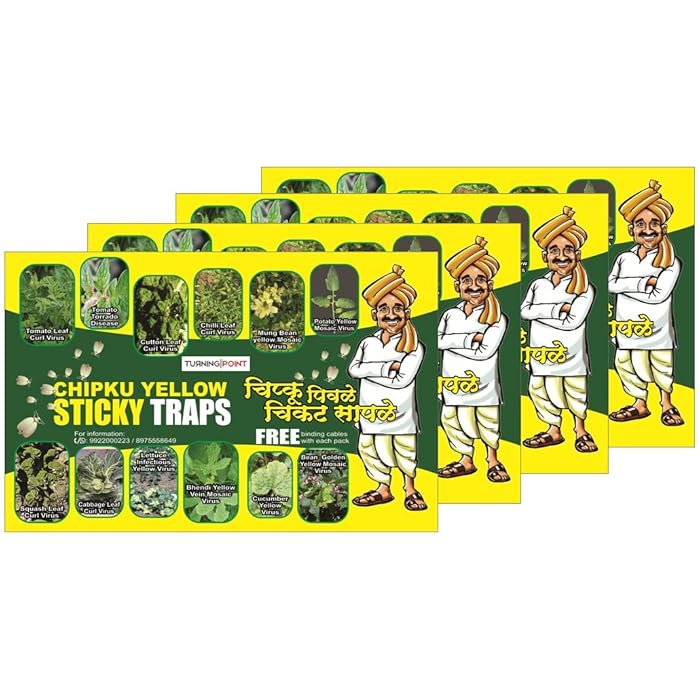 Buy Chipku ® Yellow Sticky Insect Trap for Garden & Farm for Smaller ...