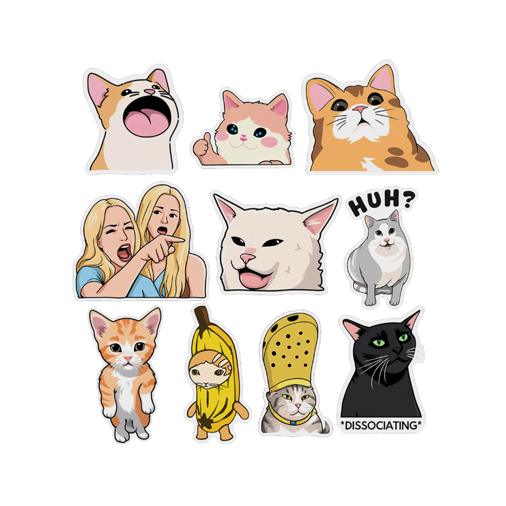 Pool Cat Memes Popular Cat Memes Brought To Life, Capturing The