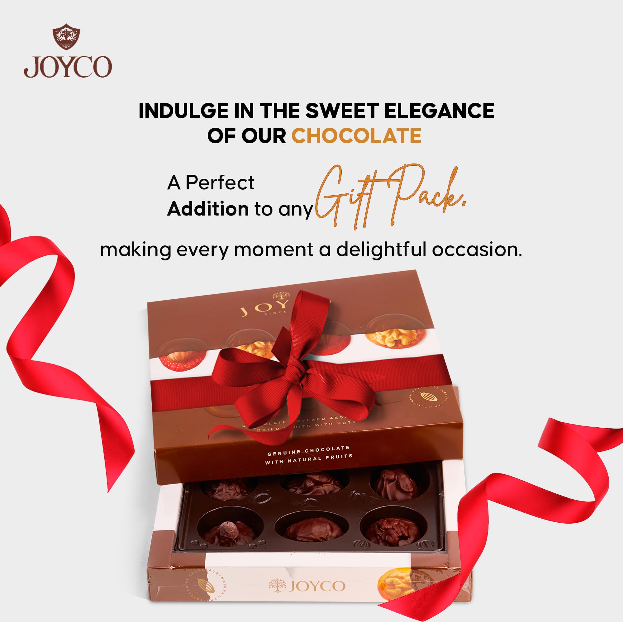 Snapklik.com : JOYCO Chocolate-Covered Assorted Dried Fruits