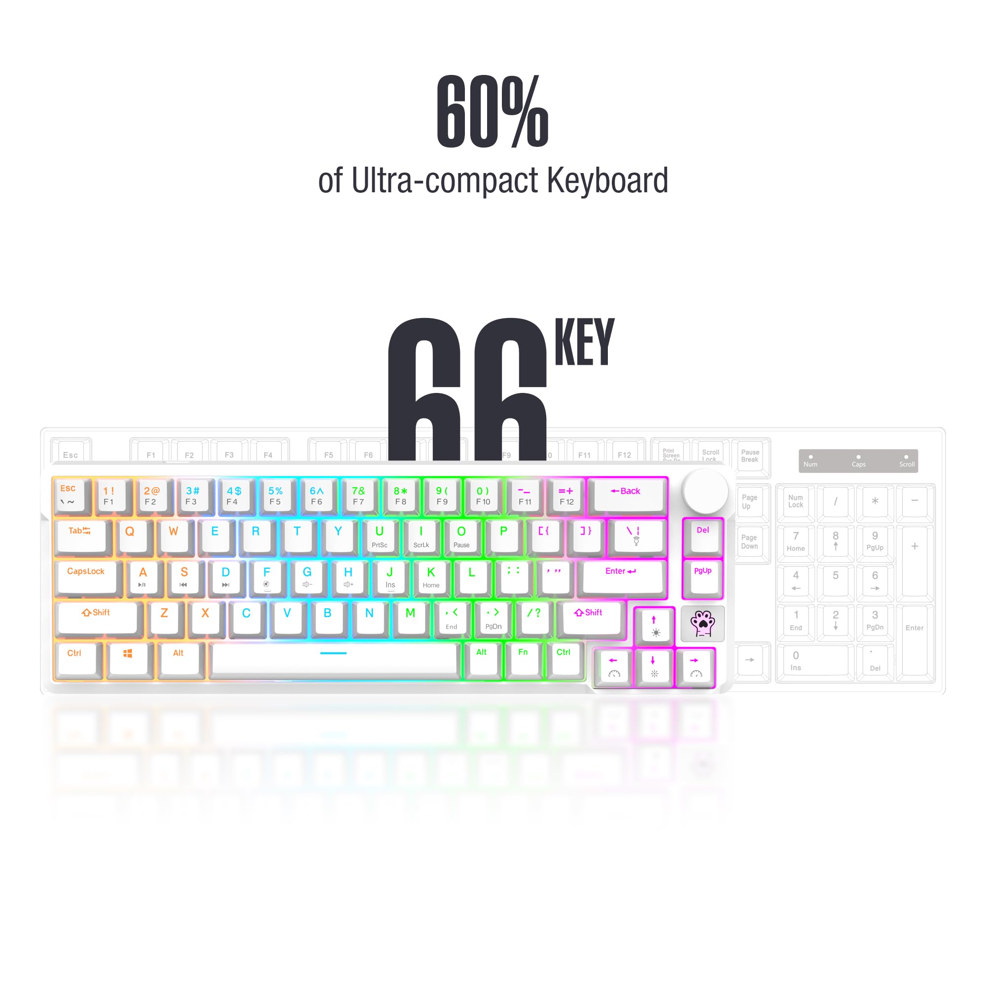 Snapklik.com : CTBTBESE Compact 65-Key Mechanical Gaming Keyboard - 60% ...