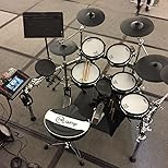 Amazon.com: Hosa DTP803 Balanced Snake DB25 to 1/4" TRS - (9.75 Feet) (Black) : Musical Instruments