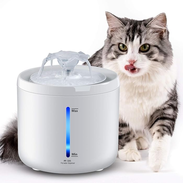 Buy FYD Pet Fountain, 2L Large Automatic Cat Water Fountain Drinking ...