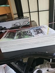 Initial D Omnibus 1 (Vol. 1-2): Shigeno, Shuichi: 9798888770986: Amazon ...