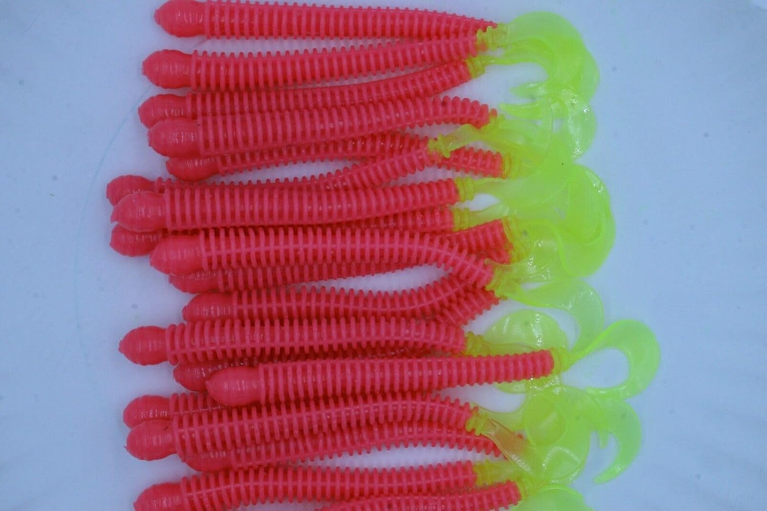 Amazon.com : 4" Pink/Chartreuse Disc Ring Worms Soft Plastic Worms ...