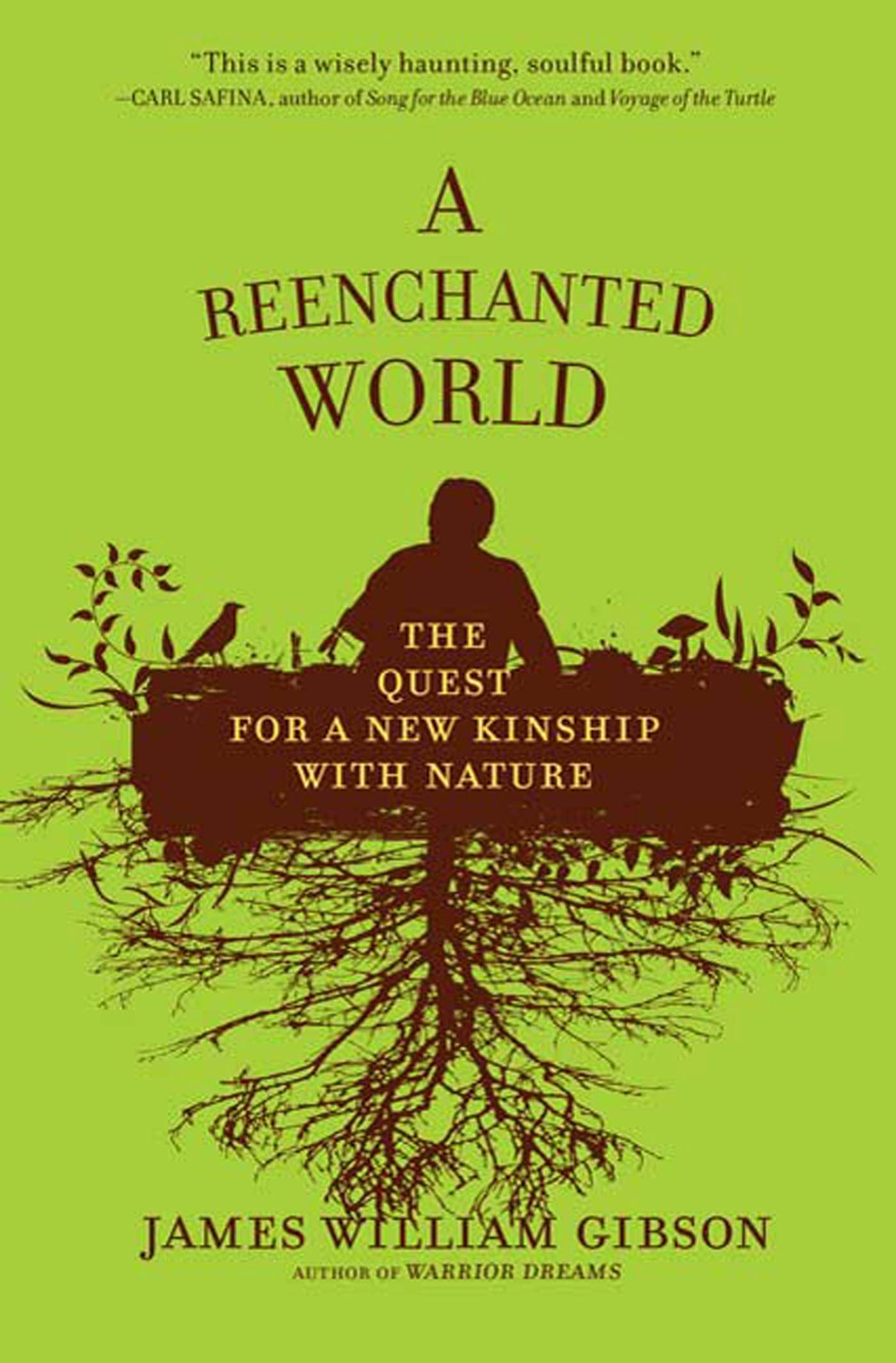 A Reenchanted World: Gibson, James William: 9780805091489: Amazon.com ...