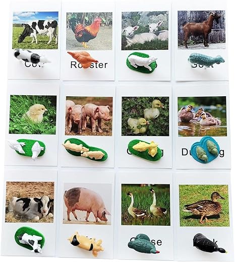 MEROCO Montessori Animal Match - Miniature Farm Animal Toy Figurines ...